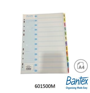 BANTEX A4 MANILA CARDBOARD INDEXES JAN-DEC ASST COLORS(601500M ...